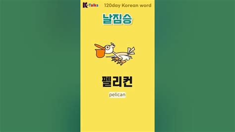 공작 펠리컨 한국어 배우기 한국어 단어 익히기 Learn Korean Talk To Me In Korean Bilingual Subtitles Youtube