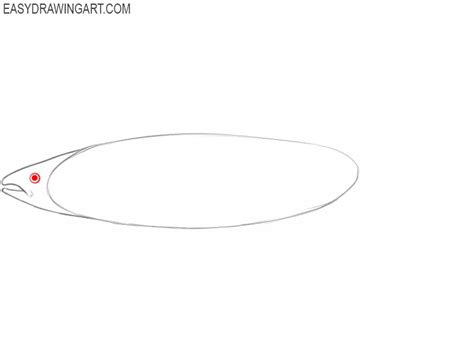 How To Draw A Salmon Easy Drawing Art