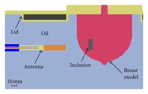 Cross Section Through The Voxelized Simulation Model Of Phantom Showing Download Scientific
