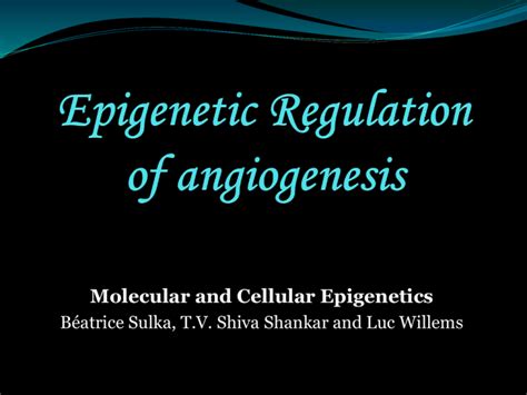 Epigenetic Regulation Of Angiogenesis