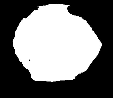 Distorted Inference Masks Obtained From The Snn Tested A Unet For