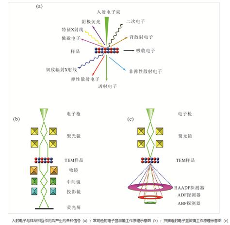 Sem与tem区别解析 华算科技