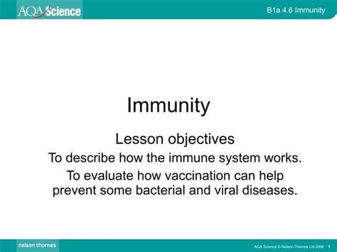 Immunity Ppt