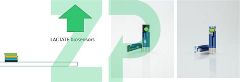 Building An Enzyme Sensor Zimmer And Peacock As