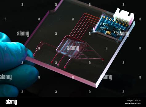 Dna Chip High Resolution Stock Photography And Images Alamy