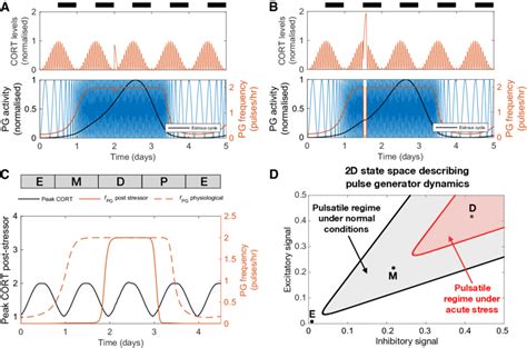 The Effect Of Acute Stress On The Dynamics Of The HPA And HPG Axes Download Scientific Diagram