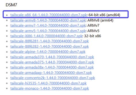 Tailscale Remote Access To Synology And Its Services Made Easy