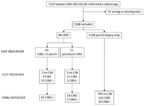 Risk Factors Associated With Cin2 In Spanish Patients With L Silascus