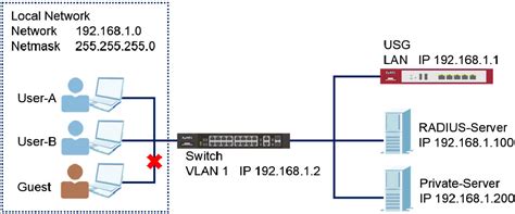 Using The Features Of Dynamic Vlan And Authentication On Zyxel Switches