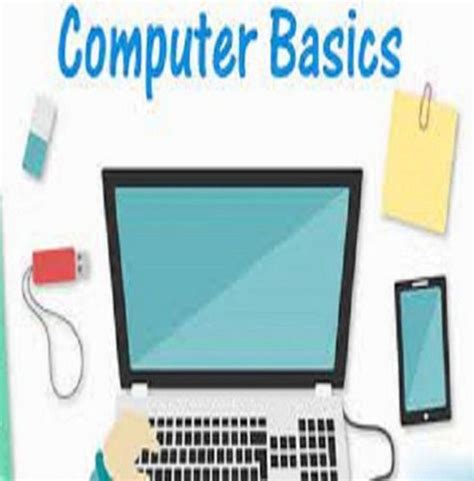 Silver Months Basic Computer Course For Beginner Level At Best Price In Delhi Ethical India