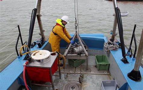 Benthic Ecology And Sediment Chemistry Survey Carcinus Ltd