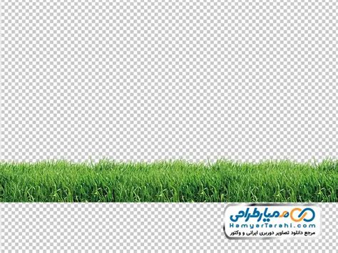 تصویر چمن طبیعی 06110133 همیار طراحی