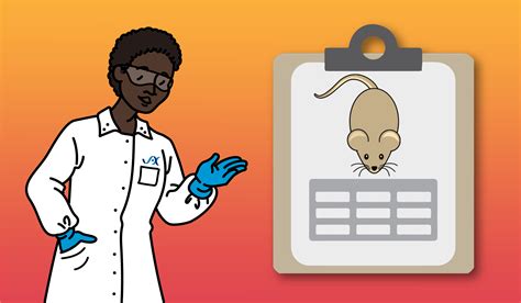 Creating Mouse Genetic Resources For Your Research