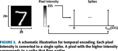 Figure 1 From On Chip Trainable Spiking Neural Networks Using Time To First Spike Encoding