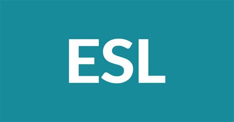 How To Use Quantifiers In English Grammar With Examples