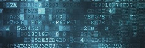 Jenkins Environment Variables List For Shell Script Build Jobs