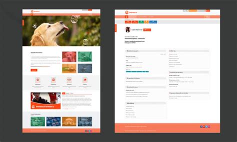 Professionally Customize A Moodle Theme By Carolblackman Fiverr