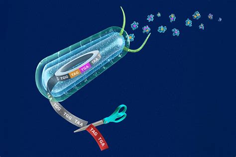 Yale Scientists Reprogram Genetic Code To Create Revolutionary