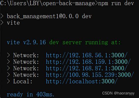 运行别人gitub上的vue代码运行git上面的vue要删除 Csdn博客
