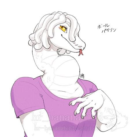 T Ball Python Lady By Hr Bananabird On Deviantart