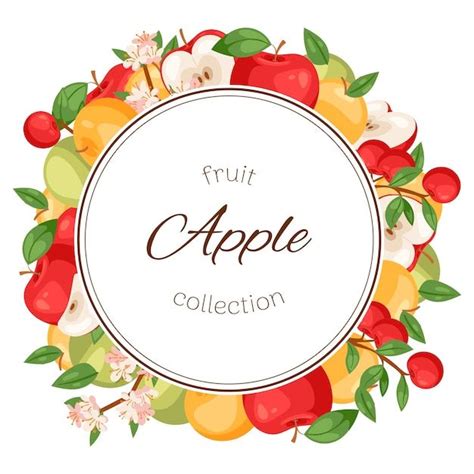 Яблоки фруктовые рамка здоровой свежей Andganic еды Премиум векторы En 2024