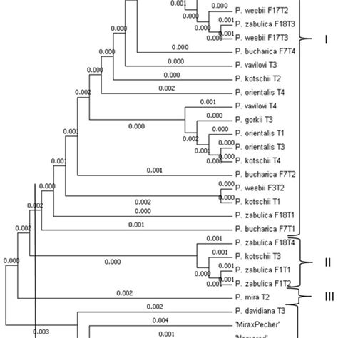 Distribution Of Traits Within The Prunus Persica Â Prunus Davidiana F 1 Download Table