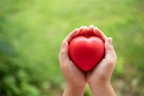 “mi Corazón Entero Para El Señor” Revista Amigo Del Hogar