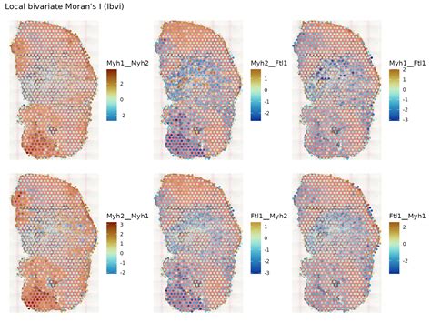 Bivariate Spatial Statistics Voyager
