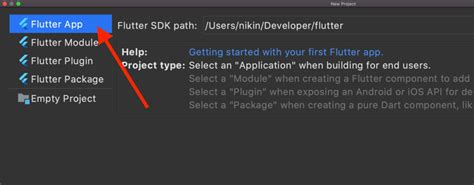 Your First Flutter 22 App Helloworld Bigknol