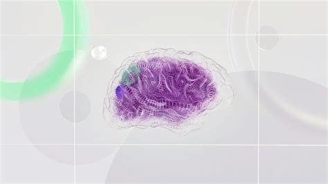 Unlocking The Quantum Frontier Exploring The Technology Of Quantum Ai