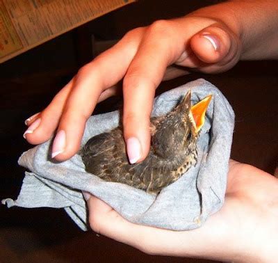 Art Propelled BUG REPORT