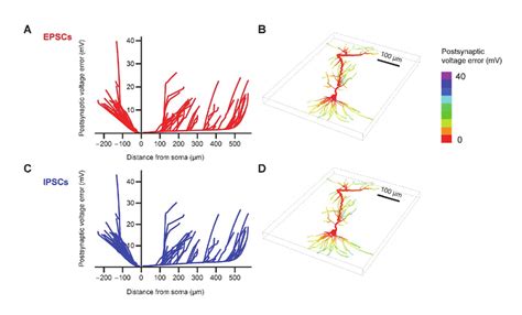 Figure S4 Simulation Of Postsynaptic Voltage Error During