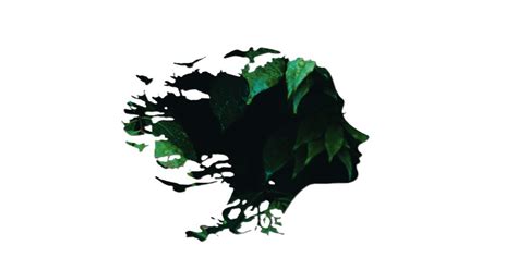 Open Mastodon Servers And Instances