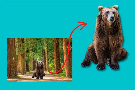how to remove the background from a photo in macos ventura
