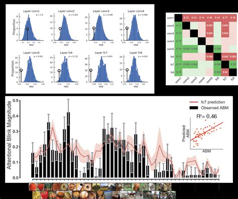 Dcnn Activation Units Predict Attentional Blink Magnitude A