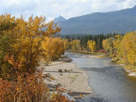 Bitterroot River In Hamilton Mt Squalla Hatch
