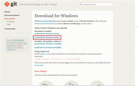 How To Set Up The Flutter Environment In Visual Studio Code On Windows How To Set Up The Flutter Environment In Visual Studio Code On Windows