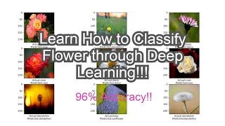 Tutorial Flower Classification With Deep Neural Net Doovi