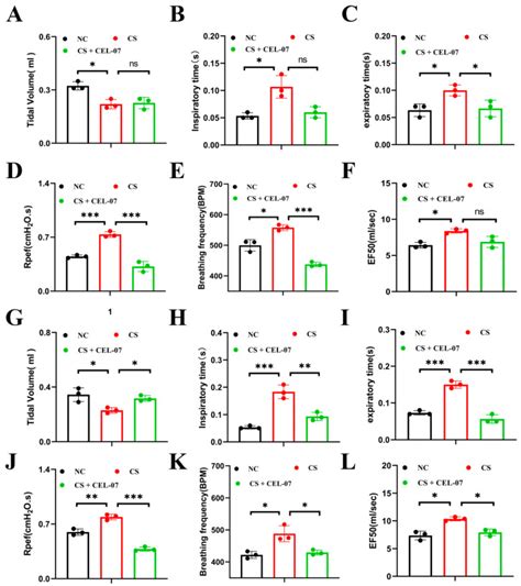Celastrol Pyrazine Derivative Alleviates Silicosis Progression Via