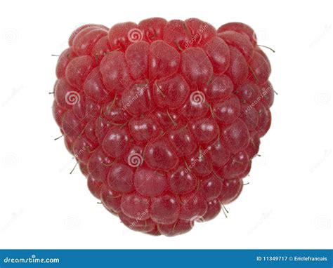 Raspberry Face Stock Image Image Of Face Healthy Guide