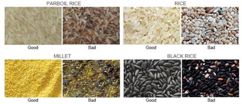 Rice Sorting Machine Working Principle