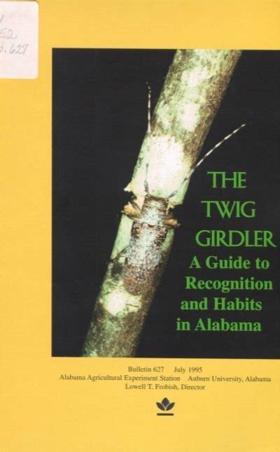 The Twig Girdler A Guide To Recogniti On And Habits In Alabama