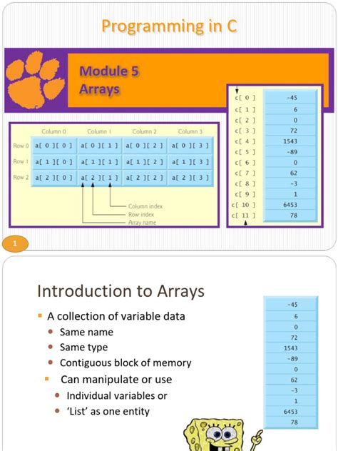 m5 arrays pdf variable computer science c programming language