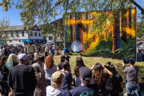 Boulder Creeks Rare White Peacock Albert Memorialized In Santa Cruz