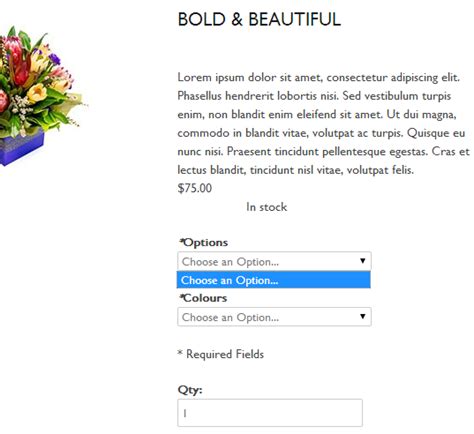 magento configurable product options not showing the options on