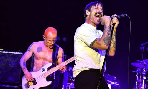 Even The Red Hot Chili Peppers Are Against Nsw S Music Regulations