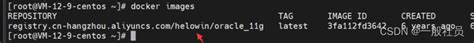 Docker安装oracle11coracle 11c Csdn博客