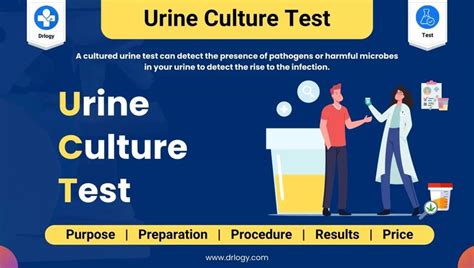 Urine Culture Test Purpose Preparation Procedure Results And Price Drlogy Test Urinary