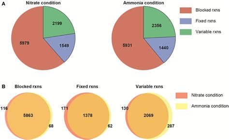 Flux Variability Analysis Of The Multi Tissue Metabolic Network A Download Scientific