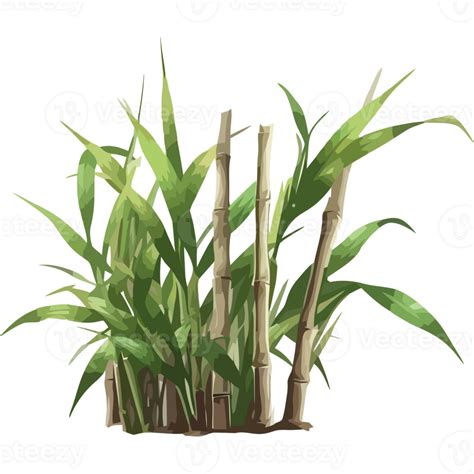 Fresh Green Bamboo Shoot Symbol Of Growth Icon Isolated 55396019 Png